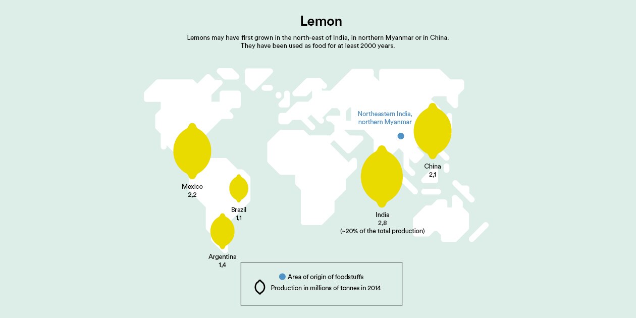 Where does our food come from? | alimentarium